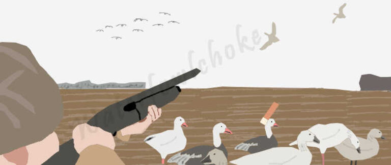 How To Aim Like A Pro When Goose Hunting - WaterfowlChoke