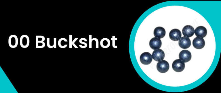 00 Buckshot vs. Slug: Which is better for hunting? - WaterfowlChoke