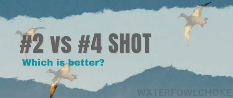 2 vs 4 shot: Which is better for duck hunting? - WaterfowlChoke