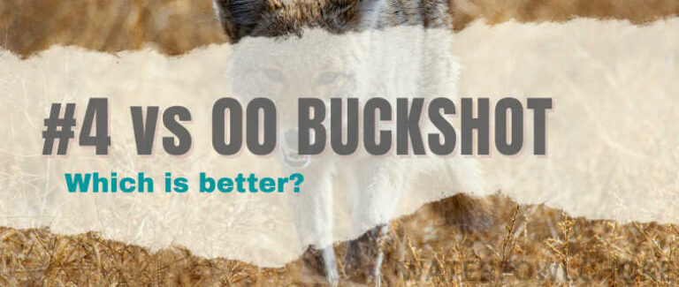 4 vs 00 Buckshot: Which is better for predator hunting? - WaterfowlChoke