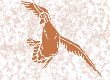 12 Gauge Shotgun Choke Size Chart - WaterfowlChoke