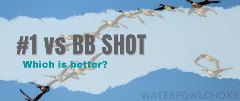 1 vs BB shot: Which is better for goose hunting? - WaterfowlChoke