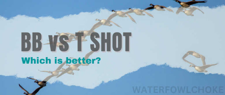BB vs T shot: Which is better for goose hunting? - WaterfowlChoke