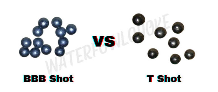 BBB vs T shot: Which is better for goose hunting? - WaterfowlChoke