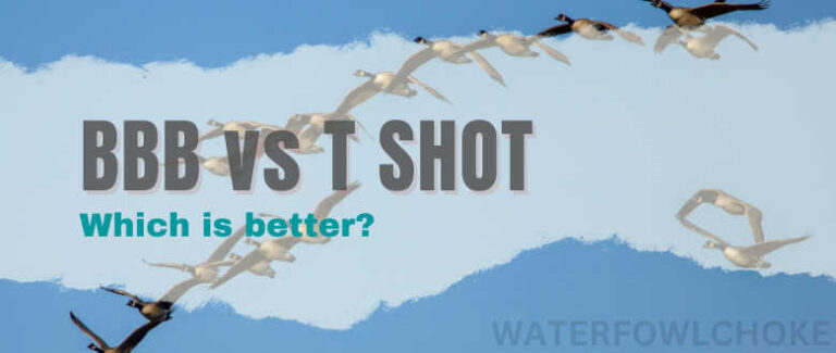 BBB vs T shot: Which is better for goose hunting? - WaterfowlChoke