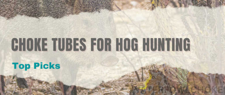 Top 3 Hog Hunting Choke Tubes for Wild Boar - WaterfowlChoke