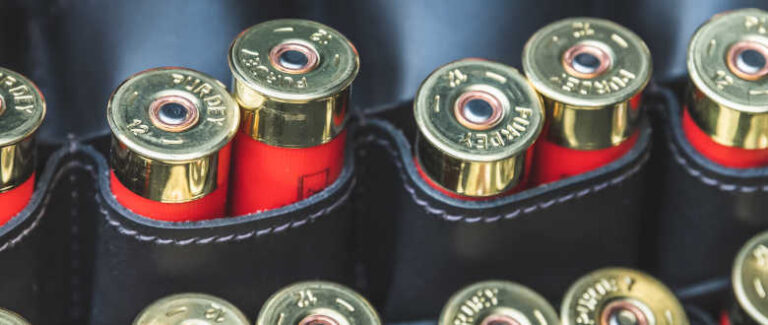 How Many Shotgun Shells are in a Box? (Explained!) - WaterfowlChoke