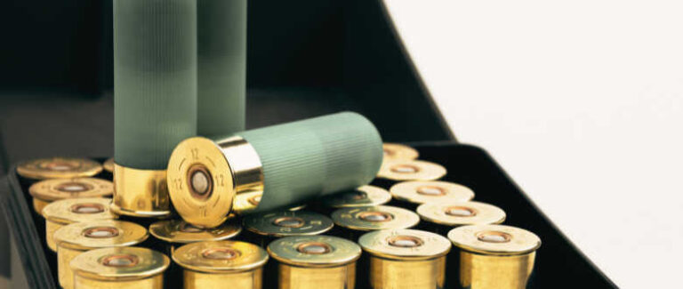 Top 5 Reasons to Use Tungsten Shotshells for Hunting - WaterfowlChoke