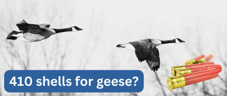 410 shells for Goose Hunting? Here's what to know - WaterfowlChoke